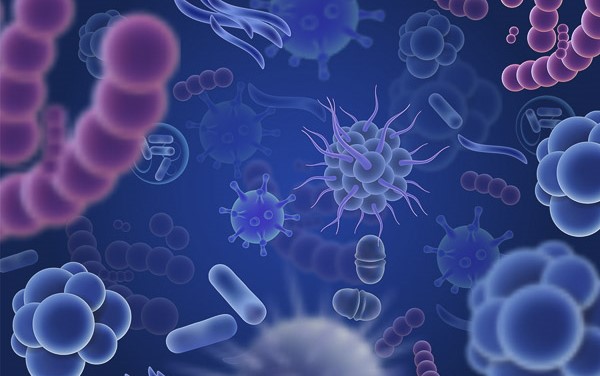 SPECIFICATIONS – LEISH G1